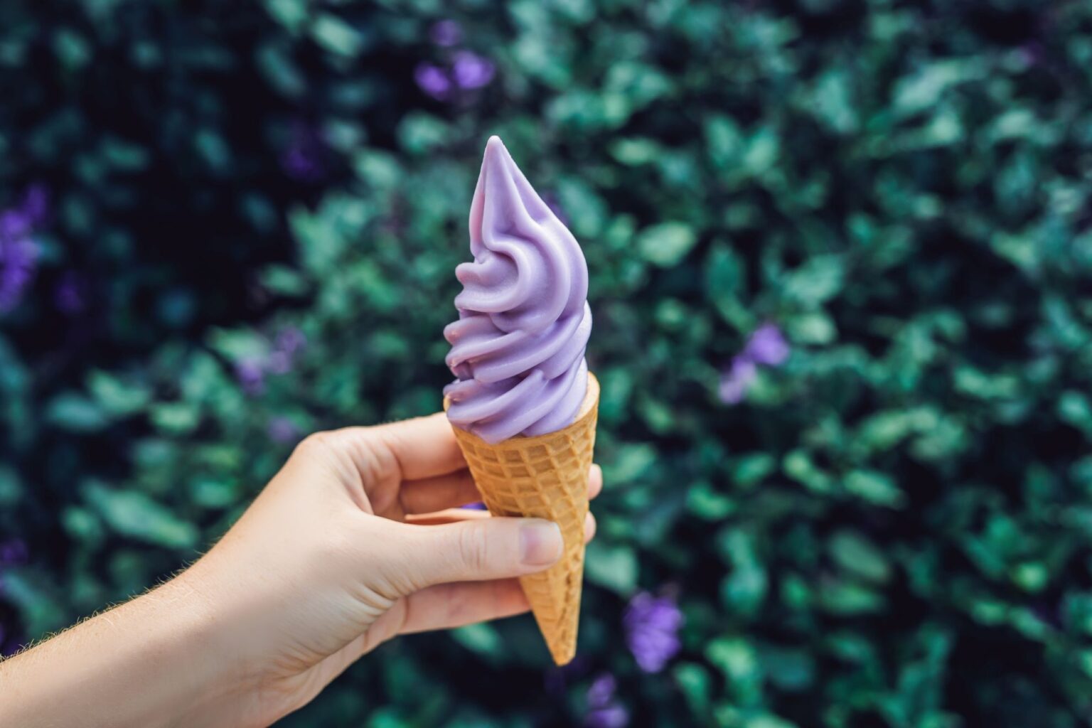 Soft ice cream or twist ice cream – which to serve in a café? | Think Tasty